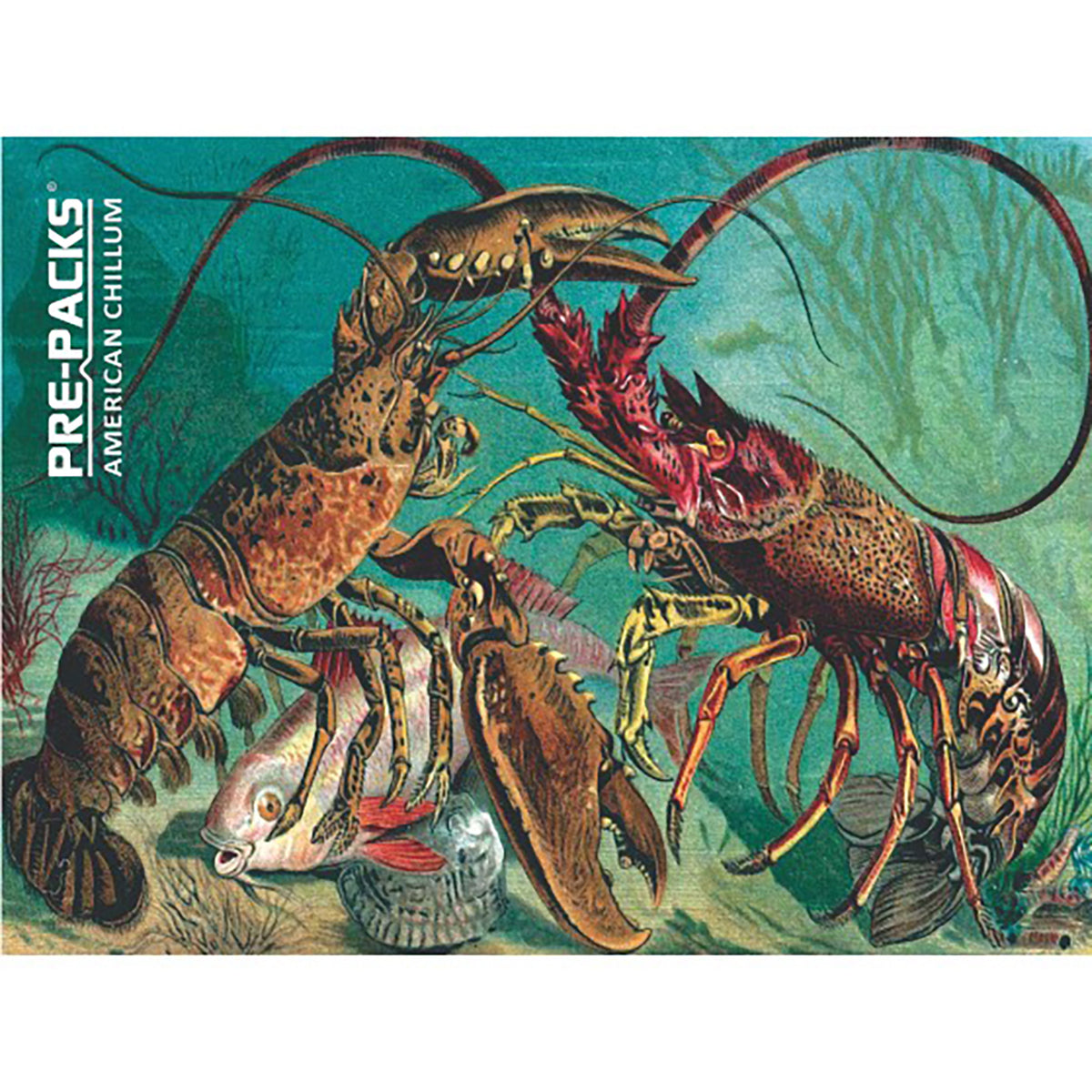 Glass hand pipe with cap for Lobster Lovers – PrePacks